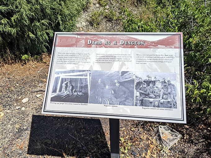 "Dark as a Dungeon" isn't just an old mining song&mdash;it was reality for Sugarite's coal miners. History preserved in black and white.