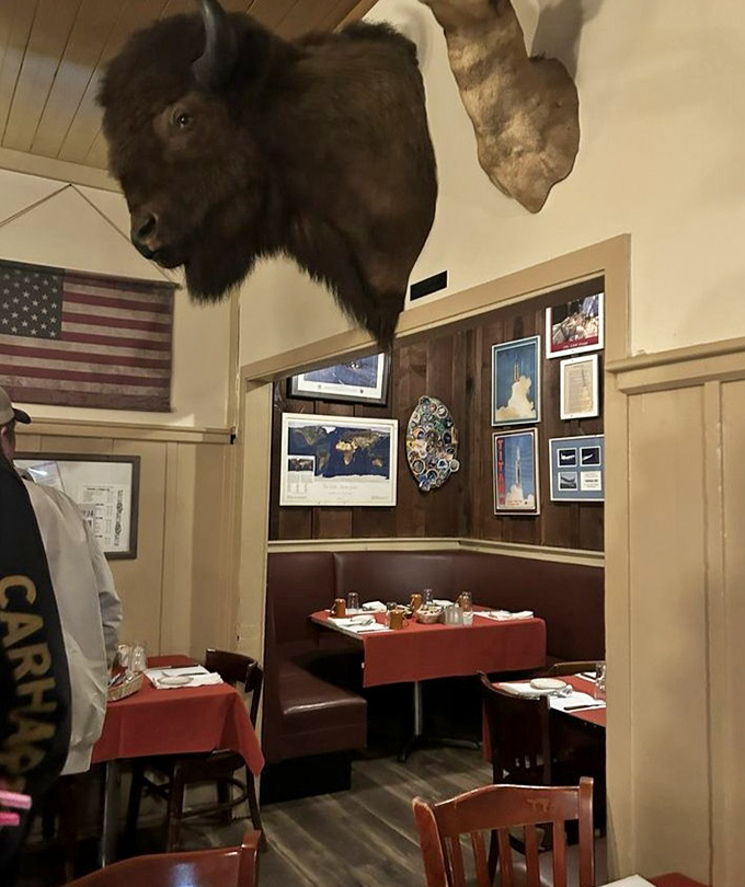 A mounted bison head presides over red-clothed tables, silently approving your menu choices in this shrine to American steakhouse tradition.