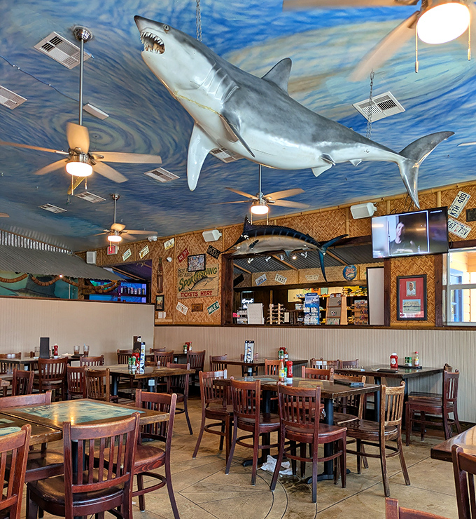 A shark watches over diners from above&mdash;the only predator you'll happily dine beneath. The ocean-blue ceiling brings the Gulf indoors.