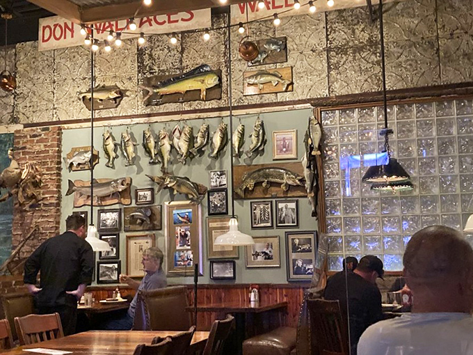The wall of fish mounts tells stories of "the one that didn't get away." Each frame and trophy is a chapter in Trapper's fishing folklore.