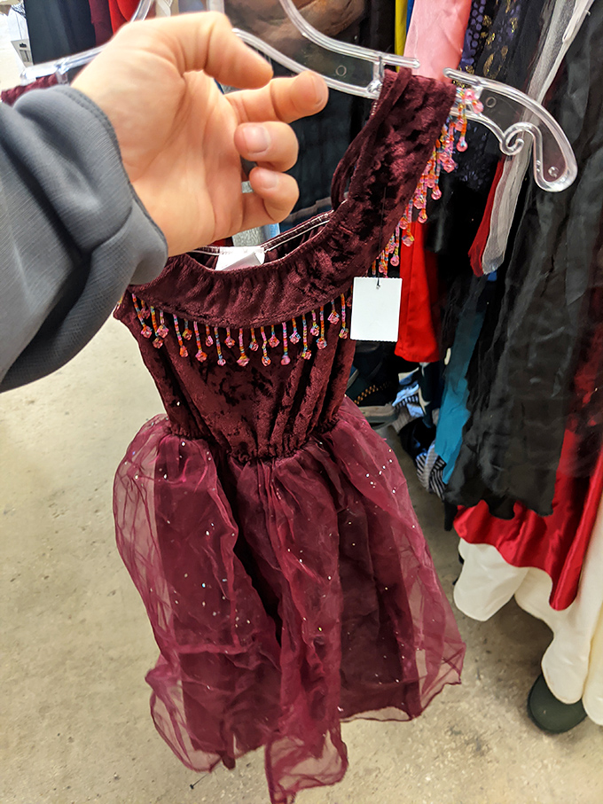 A burgundy princess dress waits for its next magical evening. One child's outgrown fantasy becomes another's enchanted moment.