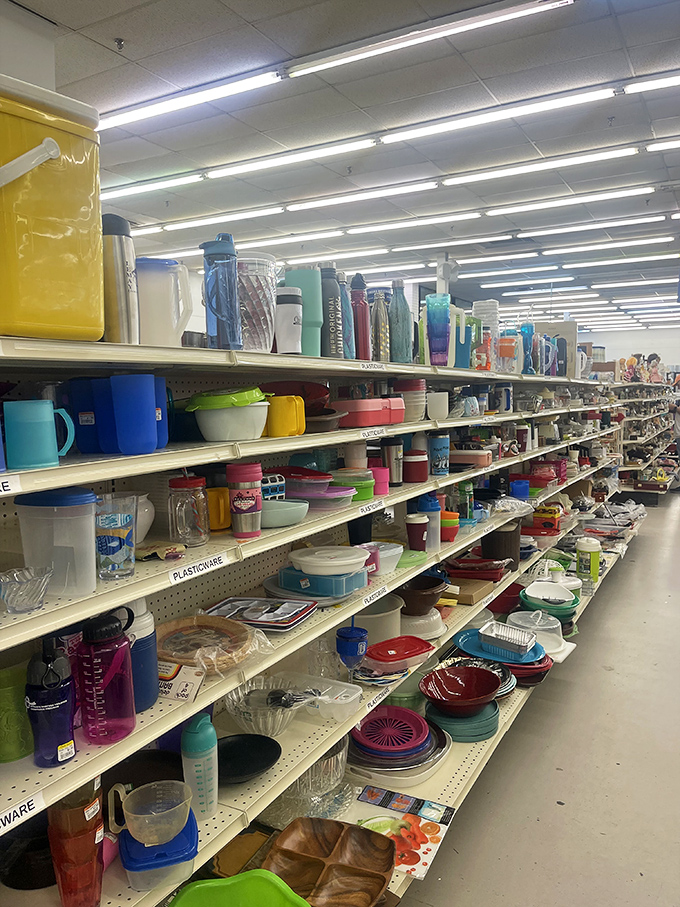 Kitchen essentials in every color imaginable line the shelves&mdash;proof that one person's excess Tupperware is another's organizational salvation. 