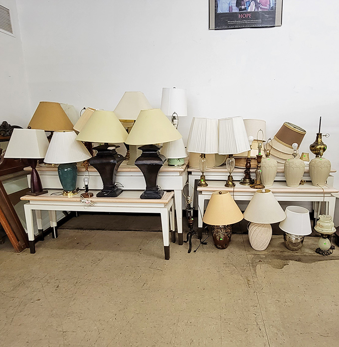 Lamp heaven! Because proper lighting is the difference between "cozy home" and "interrogation room" vibes.
