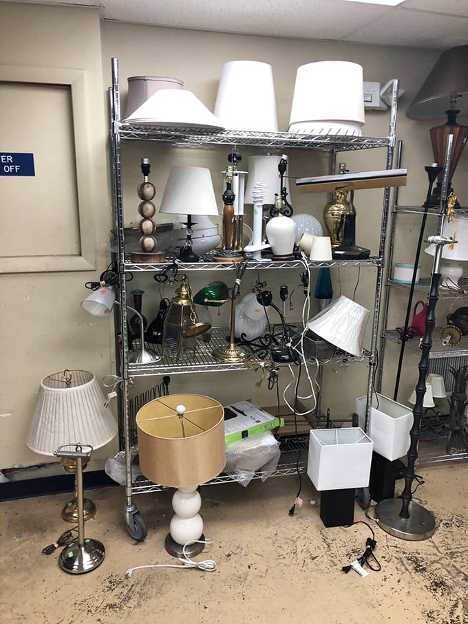 Lamp heaven! A forest of lighting options from elegant to eccentric, where your next conversation piece might be hiding in plain sight.