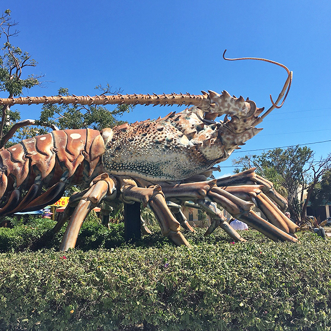 The lobster's impressive profile commands attention from passing motorists. It's like the Hollywood sign of Islamorada, but with more exoskeleton.