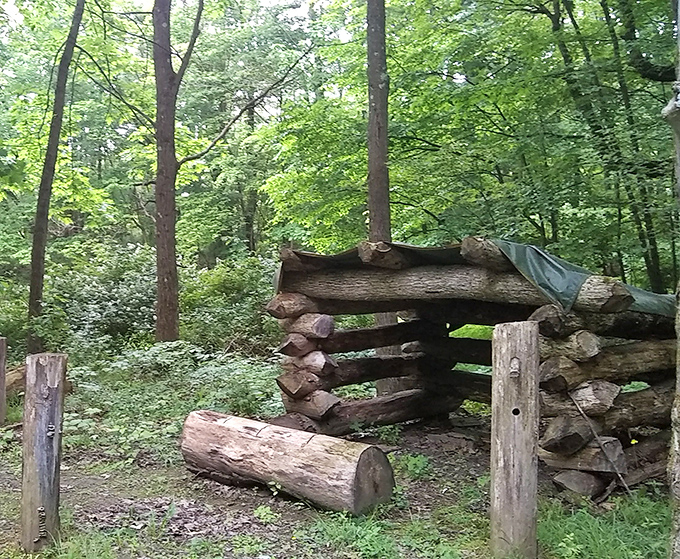This lean-to shelter constructed from logs represents the kind of craftsmanship that modern flat-pack furniture can only dream about.