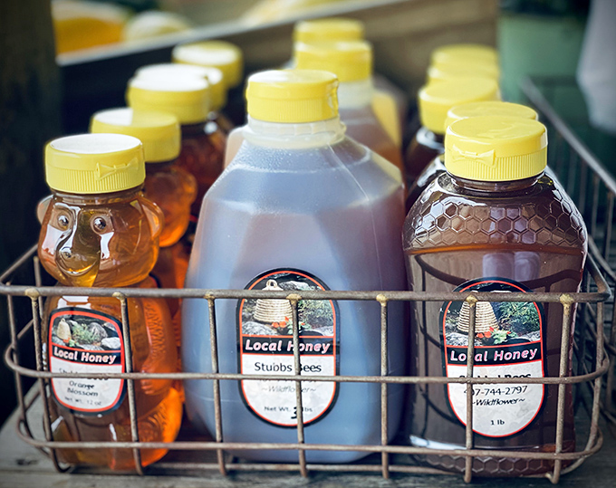 Liquid gold in various vessels. This local honey captures Florida's floral essence in a way no artificial sweetener could dream of matching.