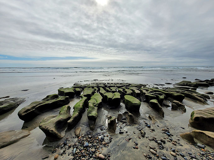 Low tide reveals tide pools teeming with life&mdash;it's like someone left the door open to nature's aquarium.