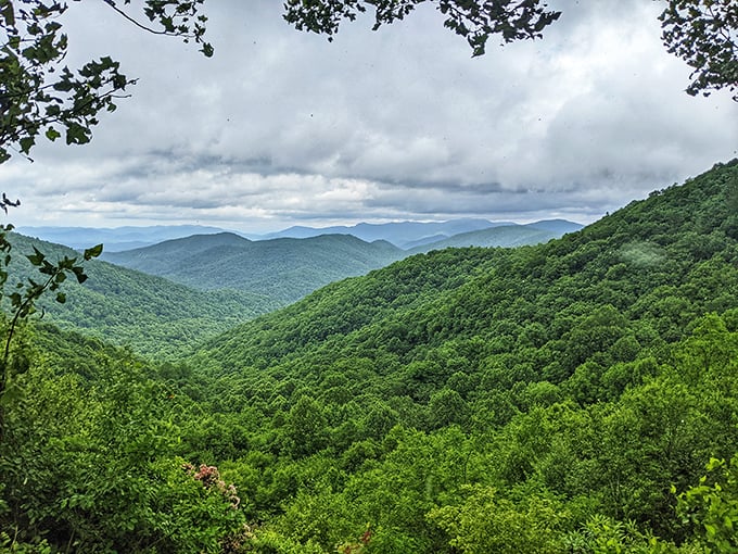 Fifty shades of green carpet the mountains &ndash; nature's answer to anyone who says Georgia isn't mountainous enough.