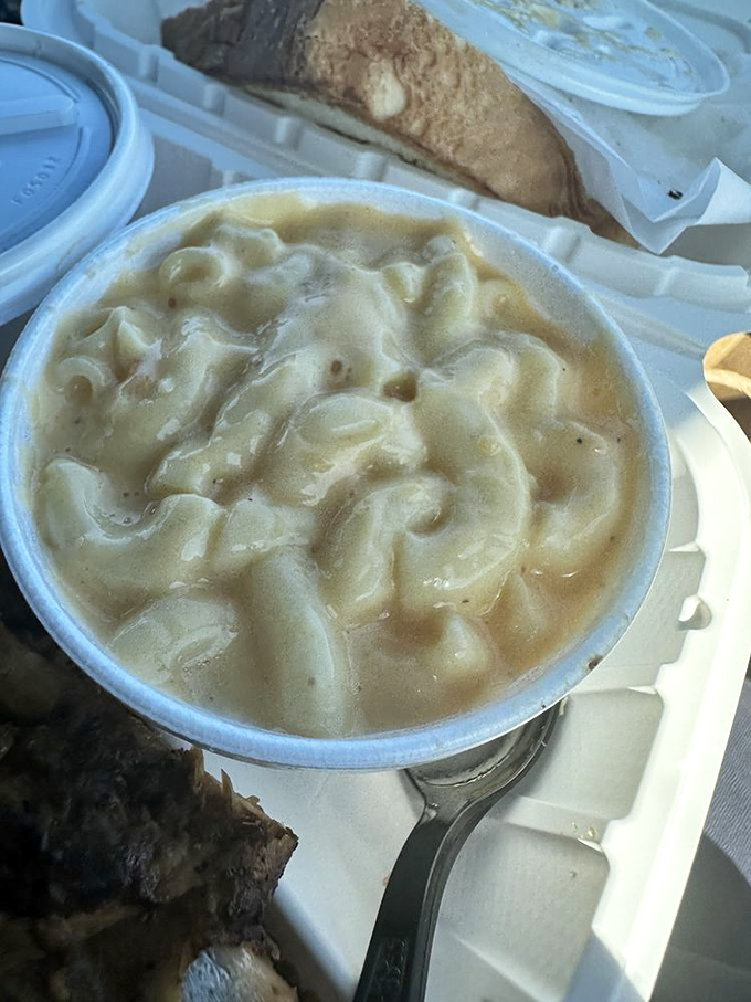Mac and cheese so creamy it should be illegal, nestled beside what appears to be Texas toast&mdash;carb heaven has never looked so inviting.
