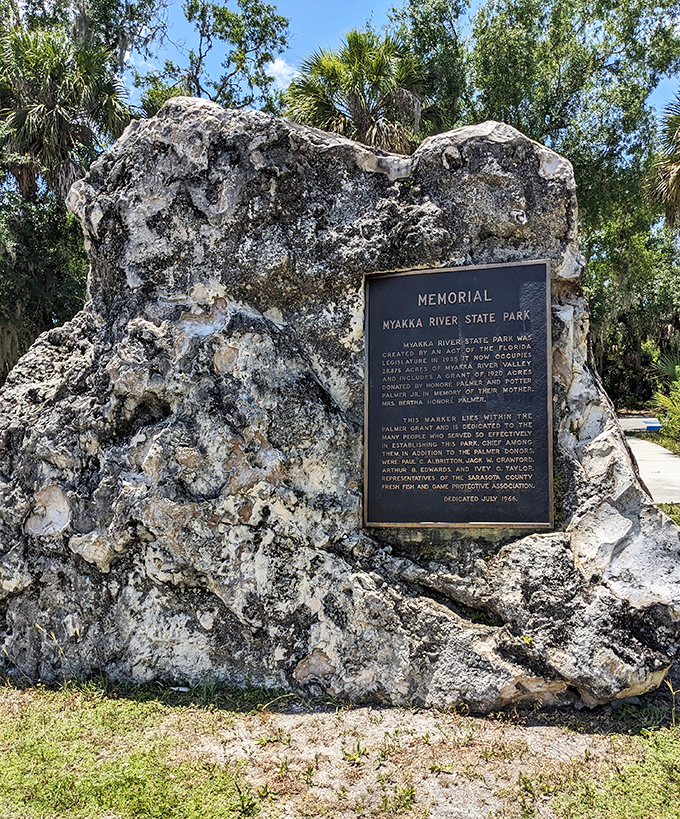 This memorial stone stands as a testament to conservation efforts that saved Myakka from becoming just another strip mall.