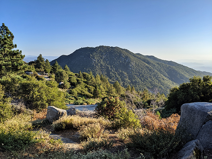The mountains stand like sentinels guarding the horizon, their slopes draped in emerald velvet that catches the afternoon light just so.