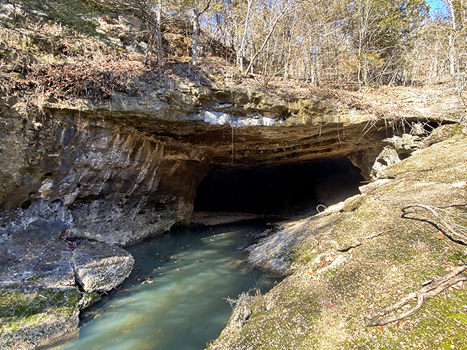 Missouri's natural tunnel looks like something from a fantasy novel—a limestone portal where water and time have carved their signature.
