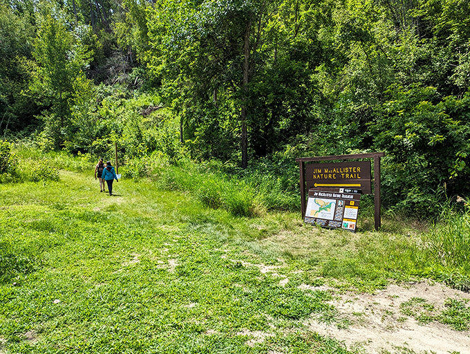 The Jim McAllister Nature Trail: Where every step might reveal a deer, a rare bird, or just the rare feeling of complete peace.