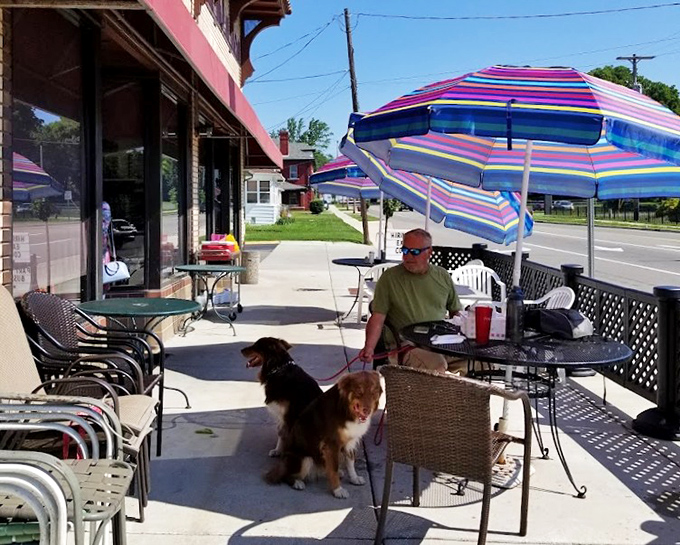 Dog-friendly outdoor seating where four-legged friends patiently wait for the inevitable dropped hash brown. Breakfast is better with fresh air.