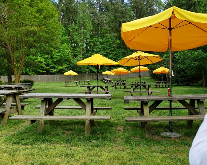 Yellow umbrellas dot the outdoor seating area like dandelions, offering shade for those who prefer their barbecue with a side of fresh air.