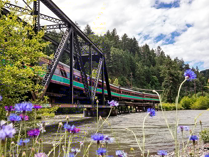 Engineering meets enchantment as the train crosses a vintage trestle bridge, with wildflowers providing the perfect splash of color below.