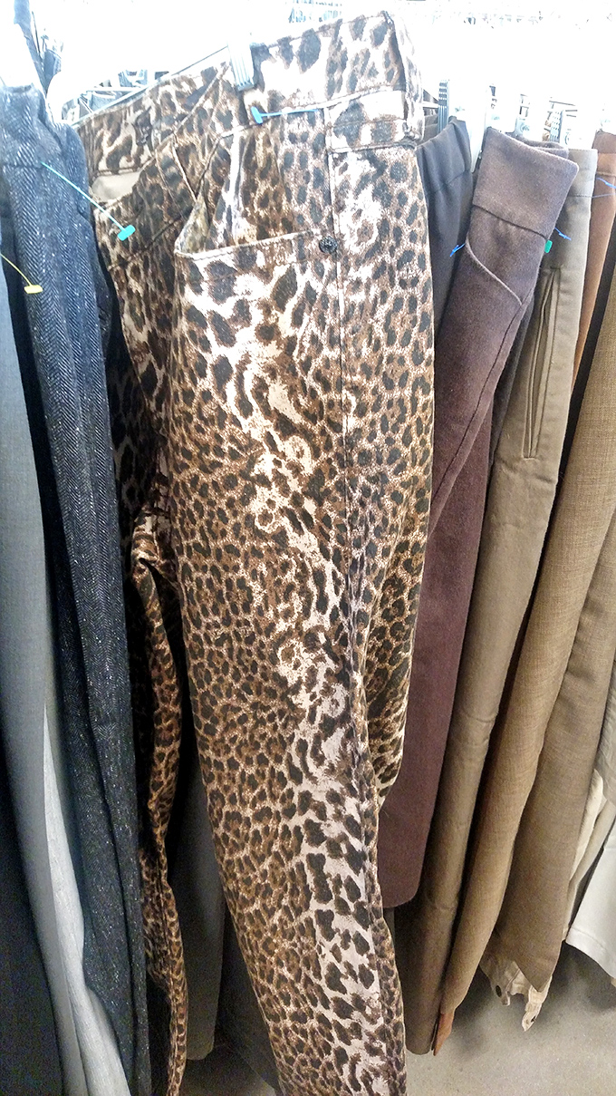 Leopard print pants hanging among sensible slacks&mdash;proof that at Goodwill, fashion democracy means wild statement pieces live alongside practical classics.
