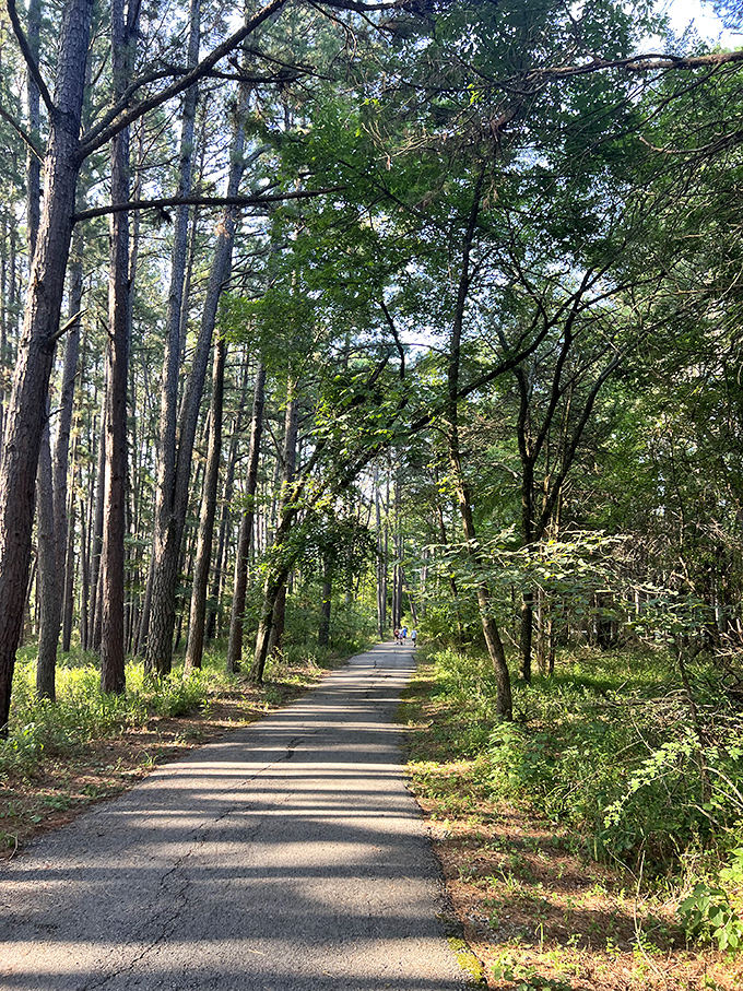 Tree-tunneled trails invite you forward like nature's own hallway, minus the fluorescent lighting and motivational posters nobody asked for.