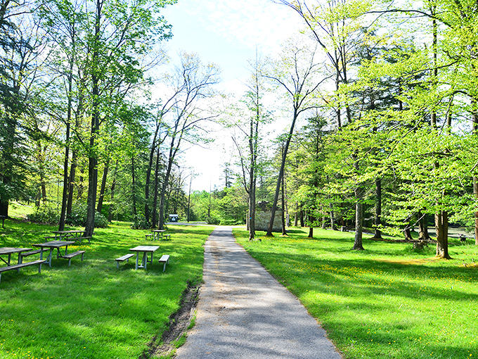 The sandy beach area proves you don't need an ocean to have a perfectly lovely time splashing around.