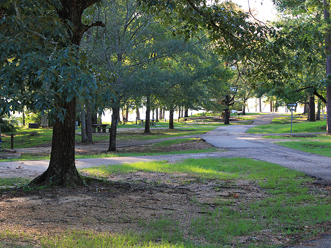 Picnic areas scattered throughout the park offer dappled shade and the perfect setting for turning simple sandwiches into memorable feasts.
