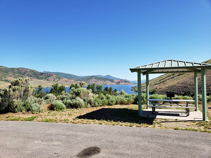Picnic perfection—where lunch with a view makes even a simple sandwich taste like five-star cuisine.