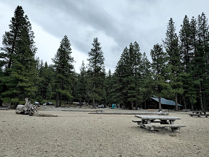 Beach day, mountain style. Lake Wenatchee's sandy shores and strategically placed picnic tables create the perfect stage for sandwiches that somehow taste better with pine-scented air.
