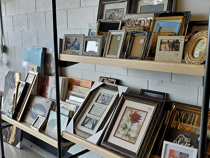 Frame by frame, the art of possibility unfolds. These empty frames aren't just borders&mdash;they're waiting to showcase your memories and treasures.