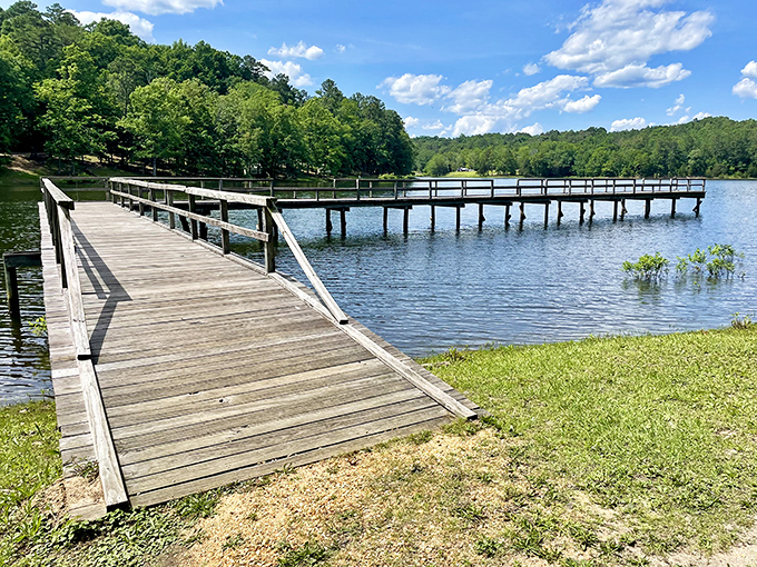 This fishing pier stretches toward possibility &ndash; where patience isn't just a virtue, it's the price of admission for nature's greatest show.