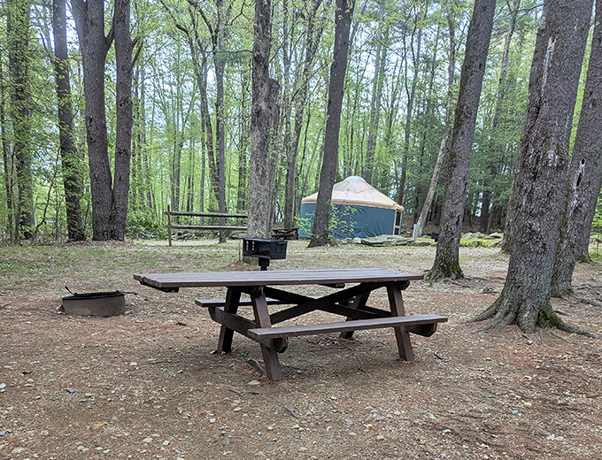 Your picnic table awaits in the woods, no reservation required, no judgment about your sandwich choices either.