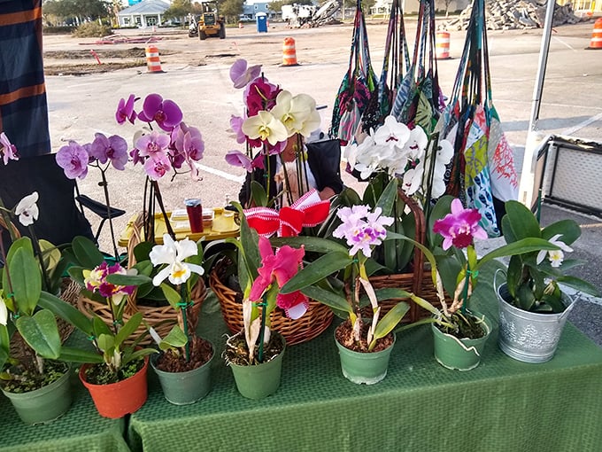 Orchids and tropical plants bring living color to the market, offering shoppers the chance to bring home beauty that grows beyond the bargain.