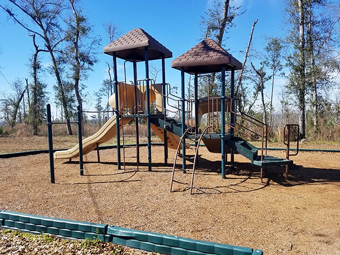 Wilderness with a side of monkey bars. Even in nature's playground, sometimes the kids need an actual playground to burn off that extra energy.