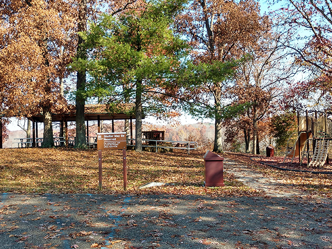 Fall's golden carpet welcomes visitors to pause and picnic. The trees have dressed up in their autumn best just for you.