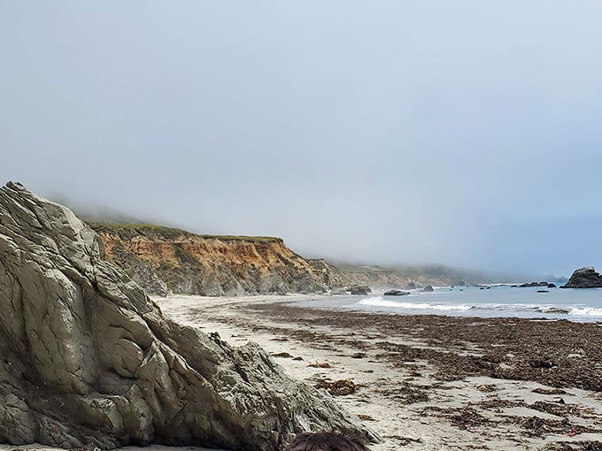 Yellow wildflowers standing guard over the coastline like nature's own velvet rope&mdash;VIP access to views that no admission price could match.