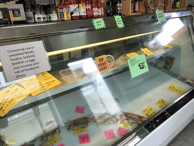 The seafood case&mdash;where decisions get difficult and dreams come true. Each handwritten price tag represents a potential memory.