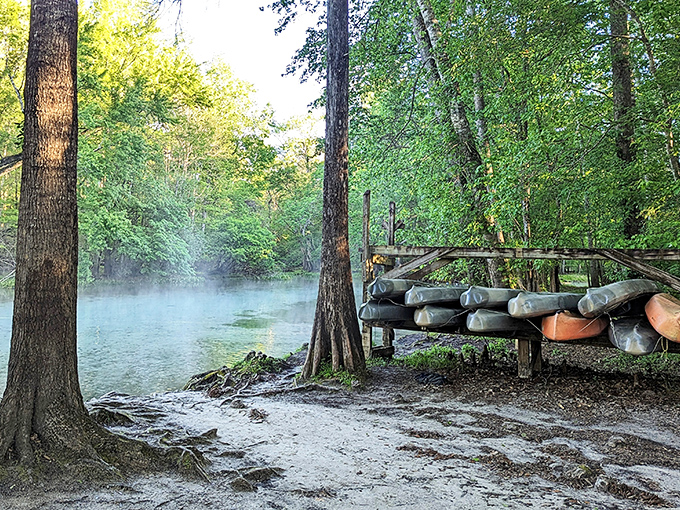 Morning fog turns the spring run into an enchanted waterway. Stacked canoes await adventurers brave enough to paddle through the mist.