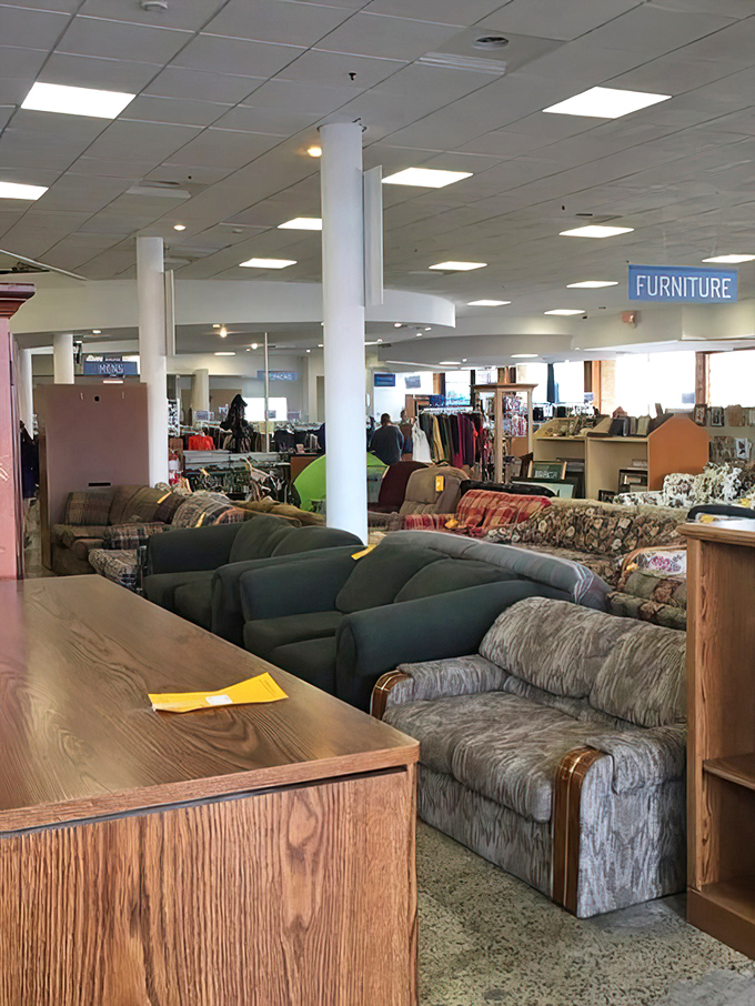Sofas lined up like they're auditioning for your living room's next chapter of comfort.