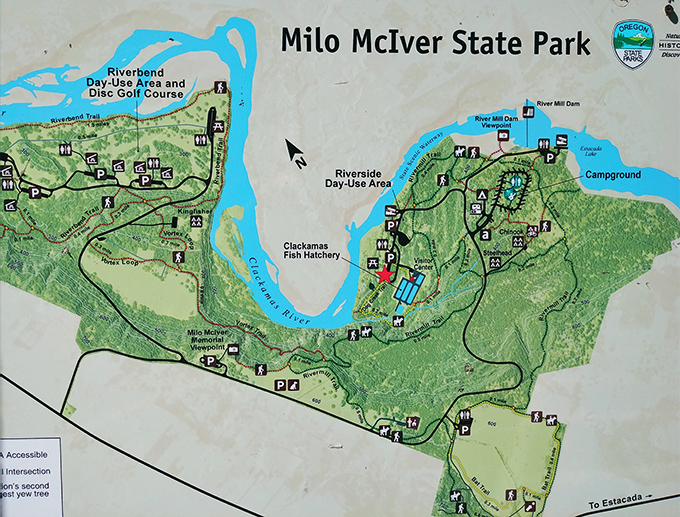 The park map&mdash;where "You are here" really means "You are exactly where you should be." Adventure planning made delightfully analog.