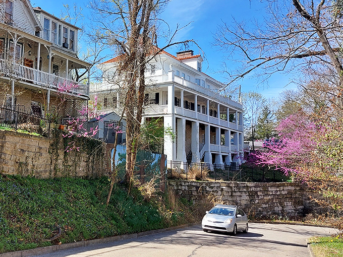 Spring blooms frame the multi-level Victorian homes that cling to hillsides, creating a scene straight from a watercolor painting.