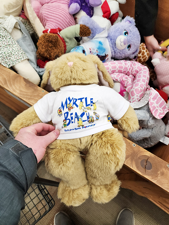 Stuffed animals patiently waiting for new cuddles. That Myrtle Beach bear has stories to tell about its vacation before finding a new forever home.