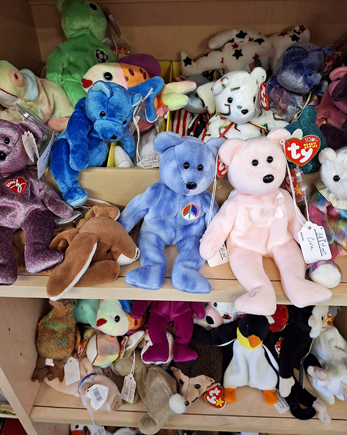 Beanie Babies: once college funds, now nostalgic treasures. The 90s investment portfolio that's rich in memories instead.