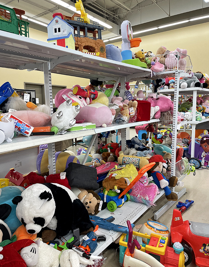 A plush paradise where stuffed animals pile high, silently competing for the chance to be someone's new bedtime buddy.