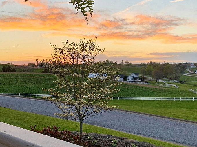 Sunset paints the rolling hills in watercolor hues that would make Bob Ross reach for his palette. Nature's masterpiece unfolds nightly across Amish Country.