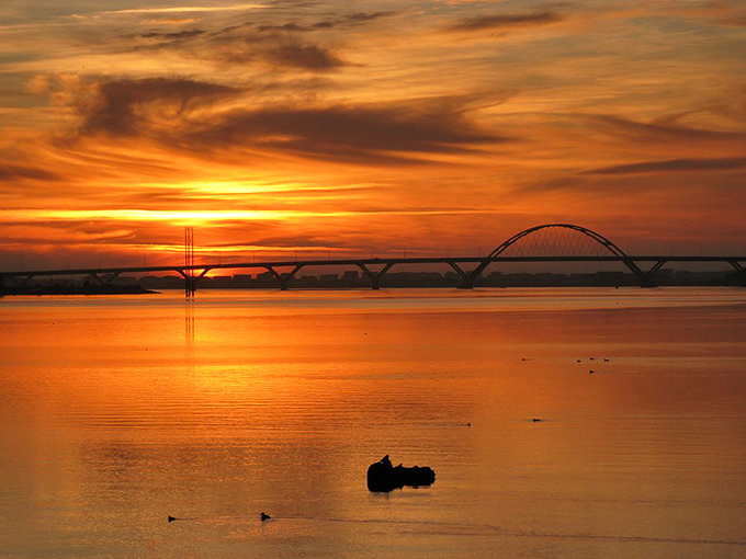 Sunset transforms ordinary bridges into silhouettes of magic. The Oregon coast delivers these golden moments with reliable splendor.