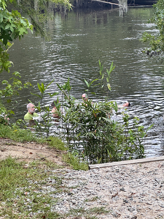 The river beckons with its tea-colored waters. Swimming here connects you to nature in ways your backyard pool never could.