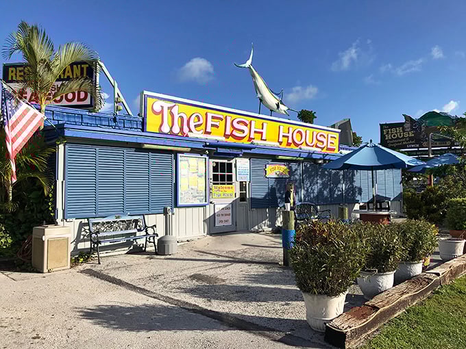 The Fish House doesn't need fancy signage when the seafood speaks for itself. That marlin on the roof isn't subtle, but neither is the freshness inside.