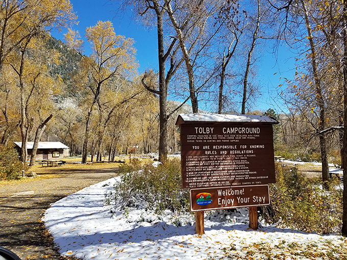 Tolby Campground welcomes visitors with a dusting of snow, proving that camping season in New Mexico doesn't follow ordinary calendars.