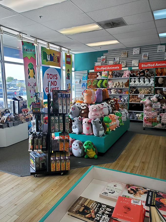 Stuffed animals crowd the shelves like a plush convention where admission is free and cuteness is mandatory.