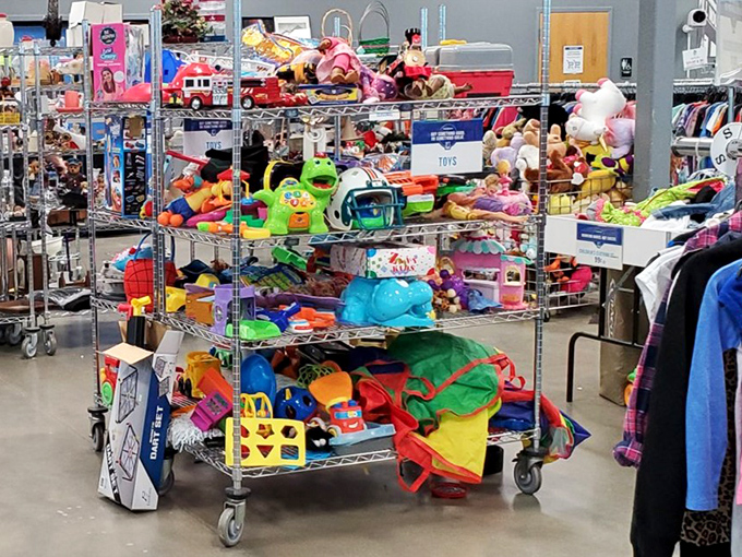A wonderland of pre-loved toys where stuffed animals, action figures, and colorful plastic contraptions await imaginative new owners.