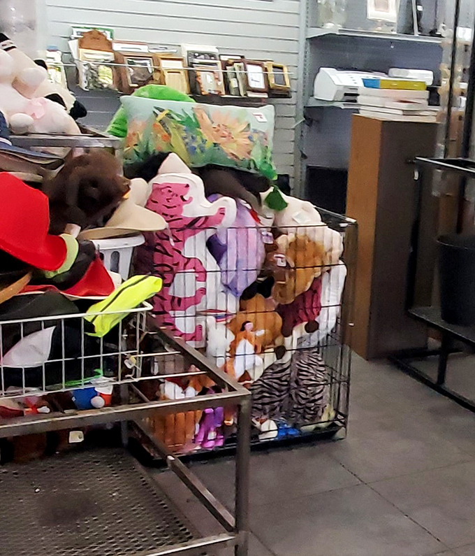 The stuffed animal section – where childhood companions await their next adventure with price tags that won't break the piggy bank.